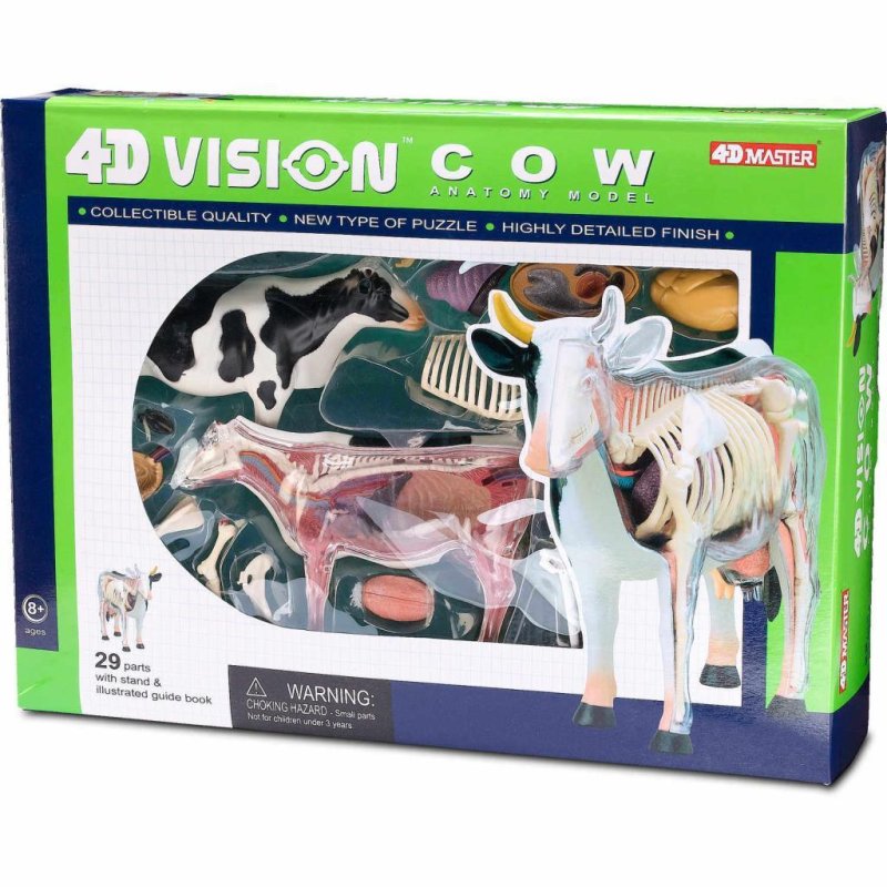 4d Master Vision Anatomi Modeli - İnek